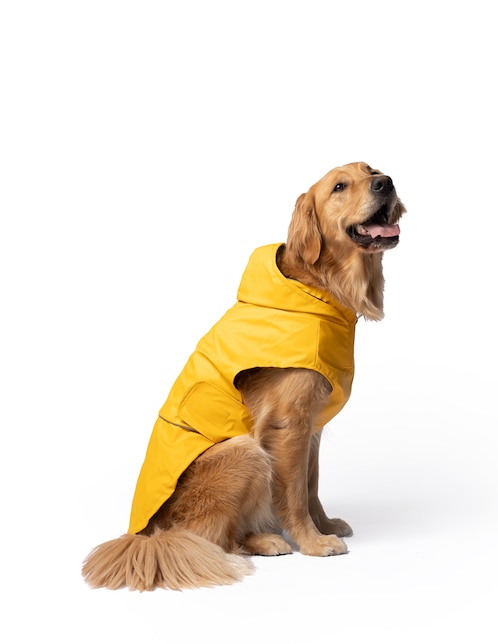 Impermeable para perro Silver Paw 1