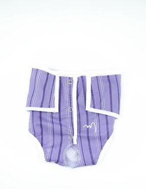 Calzón de celo para perro Mascotti