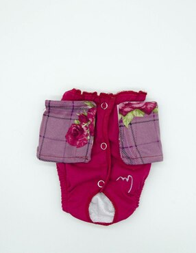 Calzón de celo para perro Mascotti